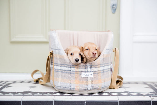 How To Choose the Perfect Dog Carrier for Your Puppy– Teddy Maximus