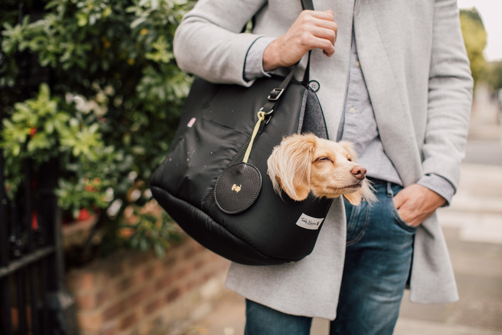 Poo Bag Holders - Dog Poop Bag Holder | Teddy Maximus
