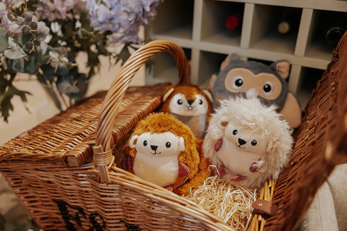 Luxury Dog Toys - High End Dog Toys | Teddy Maximus