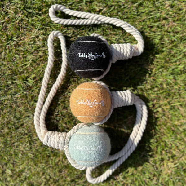 Ball and Rope Dog Toy by Teddy Maximus
