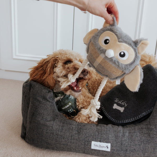 Oakley The Owl Rope Dog Toy– Teddy Maximus
