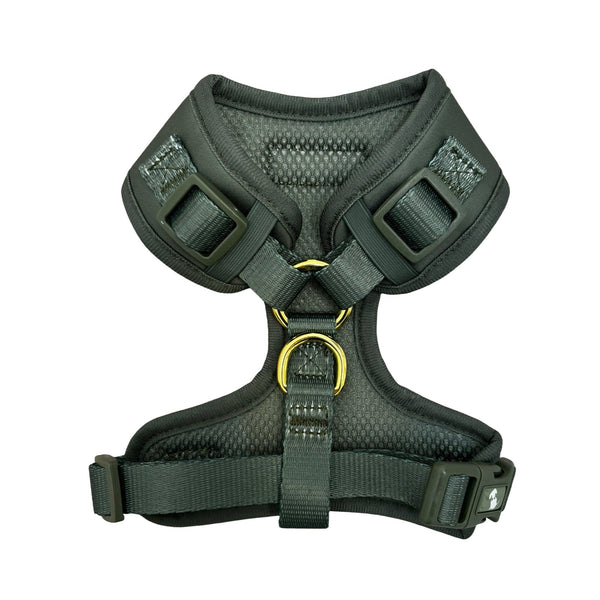 Explorer NEW! Olive Buckle Dog Harness– Teddy Maximus