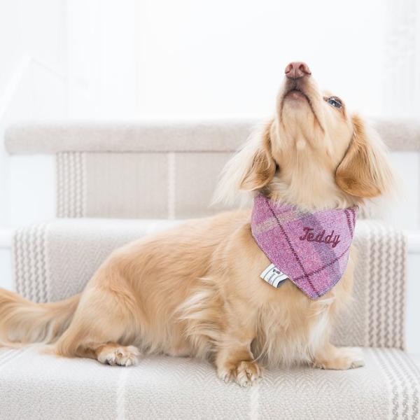 Pink Sheltie Plaid Dog Neckerchief– Teddy Maximus